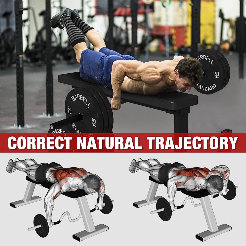 GMWD Seal Row Bench, Back Extension Bench, Upper Body...
